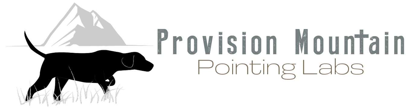 Hello and Welcome - Provision Mountain Pointing Labs
