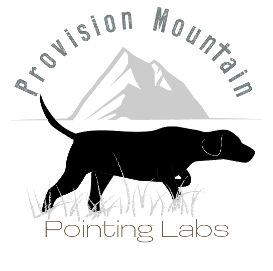 Hello and Welcome - Provision Mountain Pointing Labs